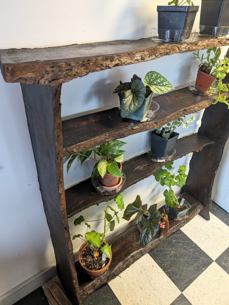 Rustic Wood Slab Plant Stand | Roth & Brader Furniture