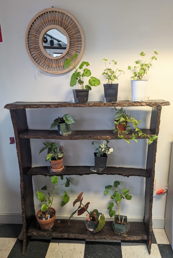 Rustic Wood Slab Plant Stand | Roth & Brader Furniture